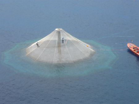 Open-Ocean Farming | Law-In-Action