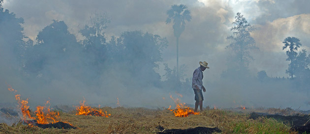 Forest Fires in Africa Feed the Amazon Rainforest | Law-In-Action