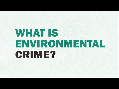 Rich Environmental Criminals | Law-In-Action