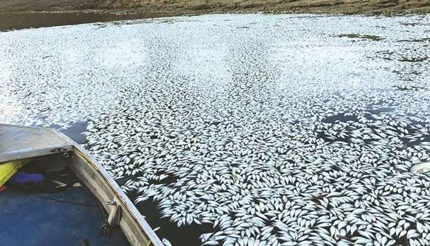 The Shameful Mismanagement of the Murray-Darling River: Australia | Law ...